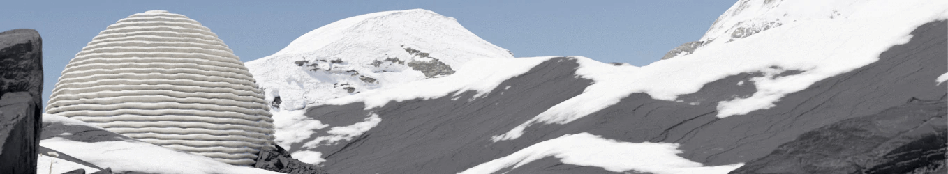 Contact Us – Nobis